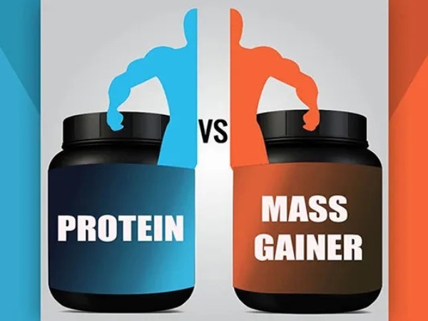 Comparison of Whey Protein and Gainer – Which one is more suitable for ...